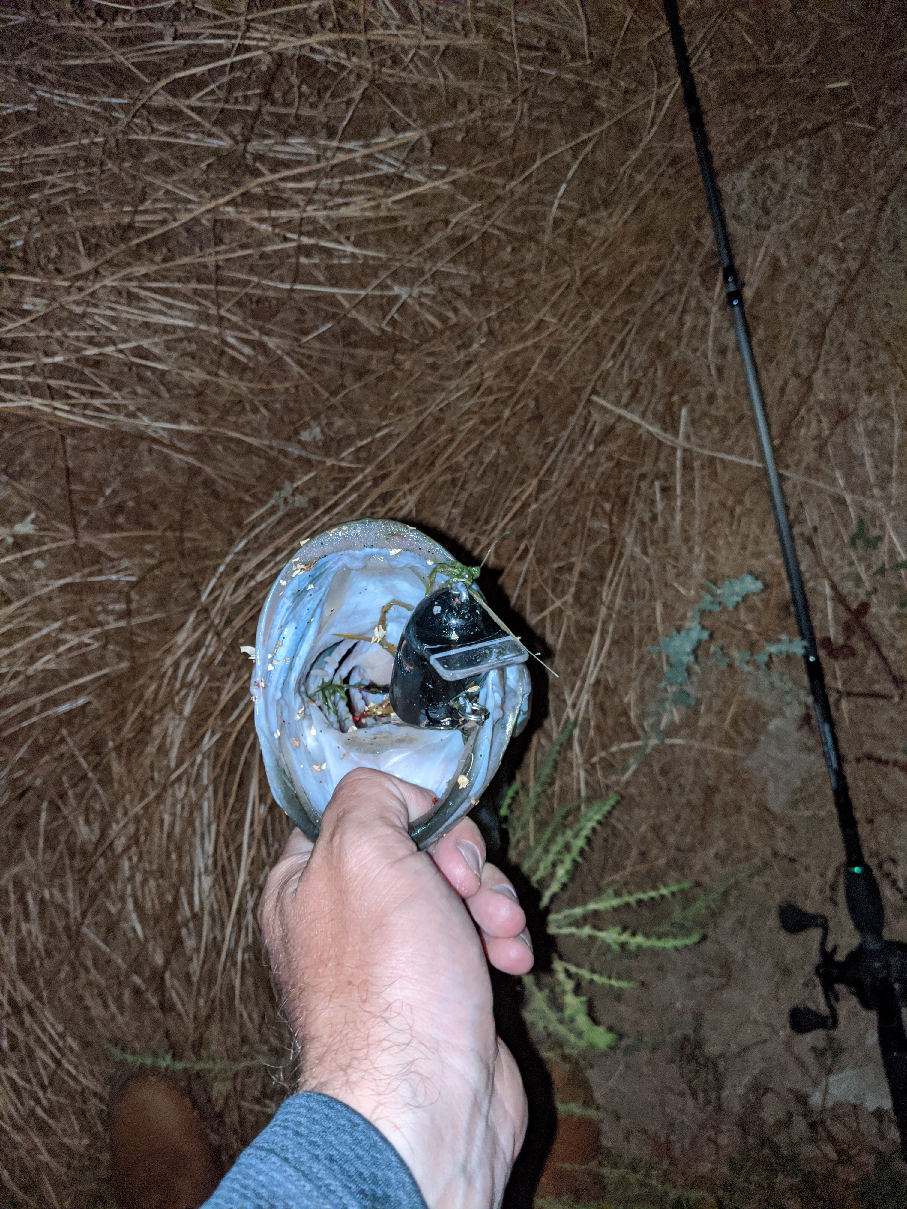 Mini Slammer In The Heat Gotem Swimbait Underground