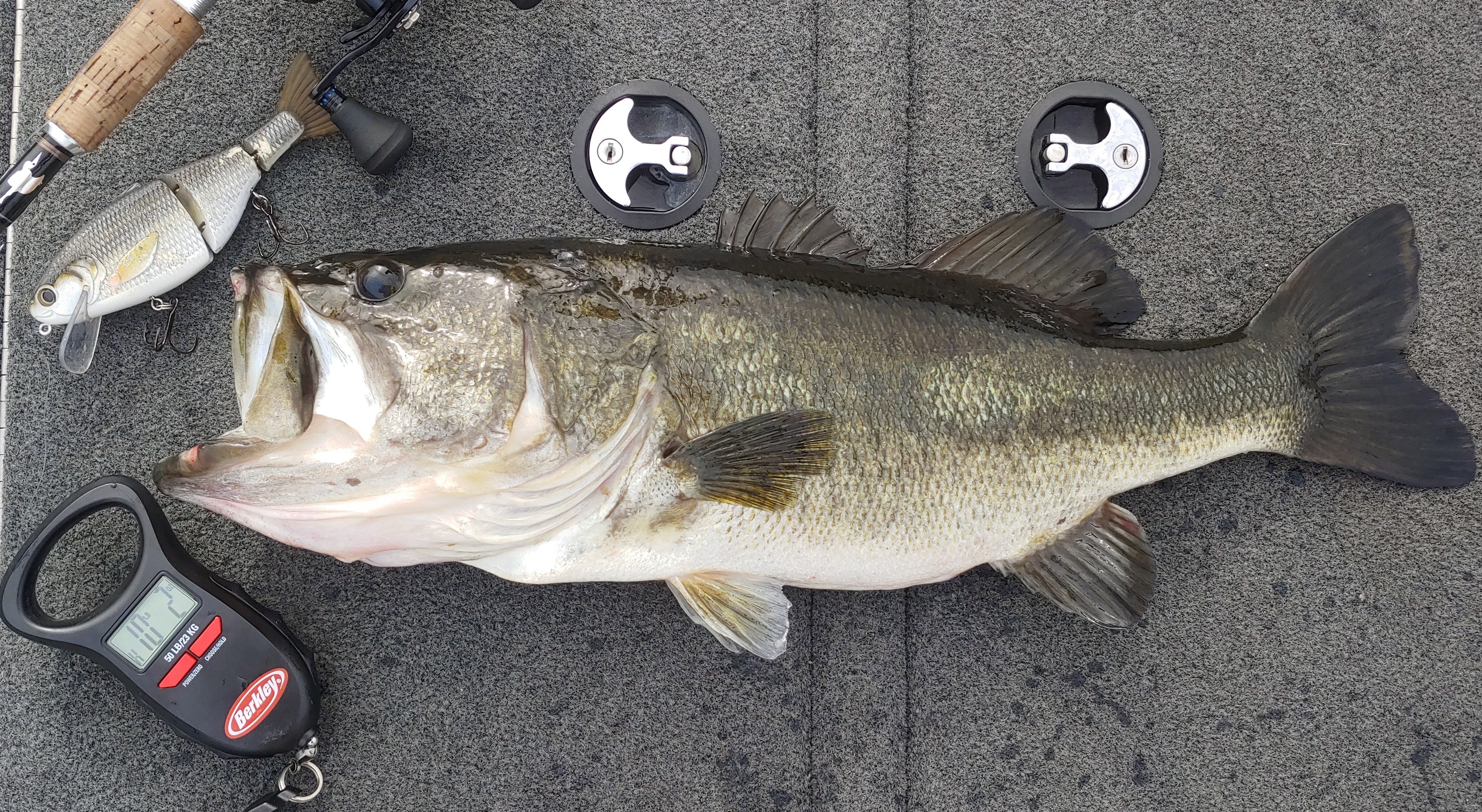 BGC crank down 2 fish for 17lbs - Got'em - Swimbait Underground
