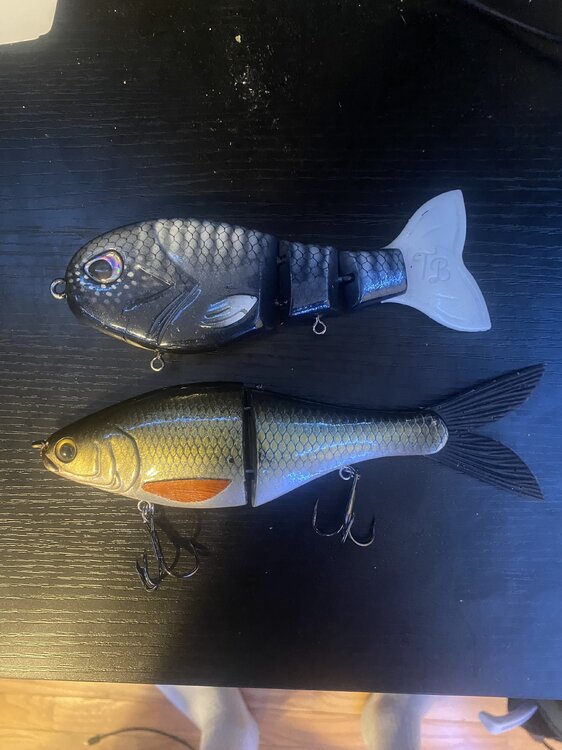 Fish everything glide an throwback flee shad - Black Market - Swimbait ...