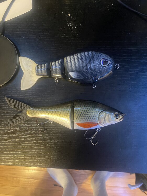 Fish everything glide an throwback flee shad - Black Market - Swimbait ...